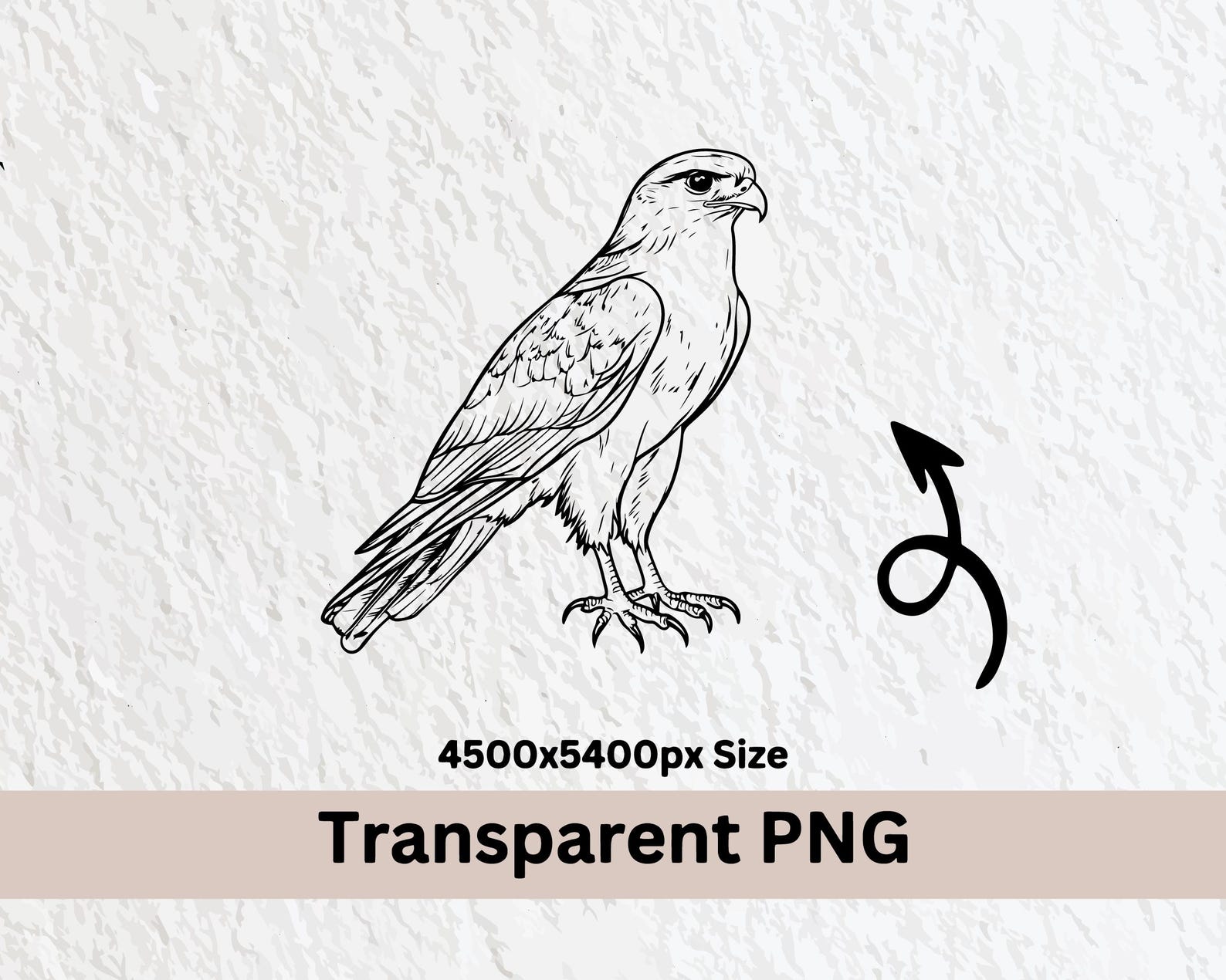 Hawk Svg Bundle, Hawk Silhouette, Hawk Clipart Png, Hawk Outline, Hawk ...