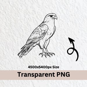 Hawk Svg Bundle, Hawk Silhouette, Hawk Clipart Png, Hawk Outline, Hawk ...