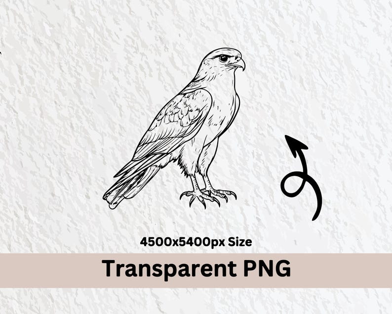 Hawk Svg Bundle, Hawk Silhouette, Hawk Clipart Png, Hawk Outline, Hawk ...