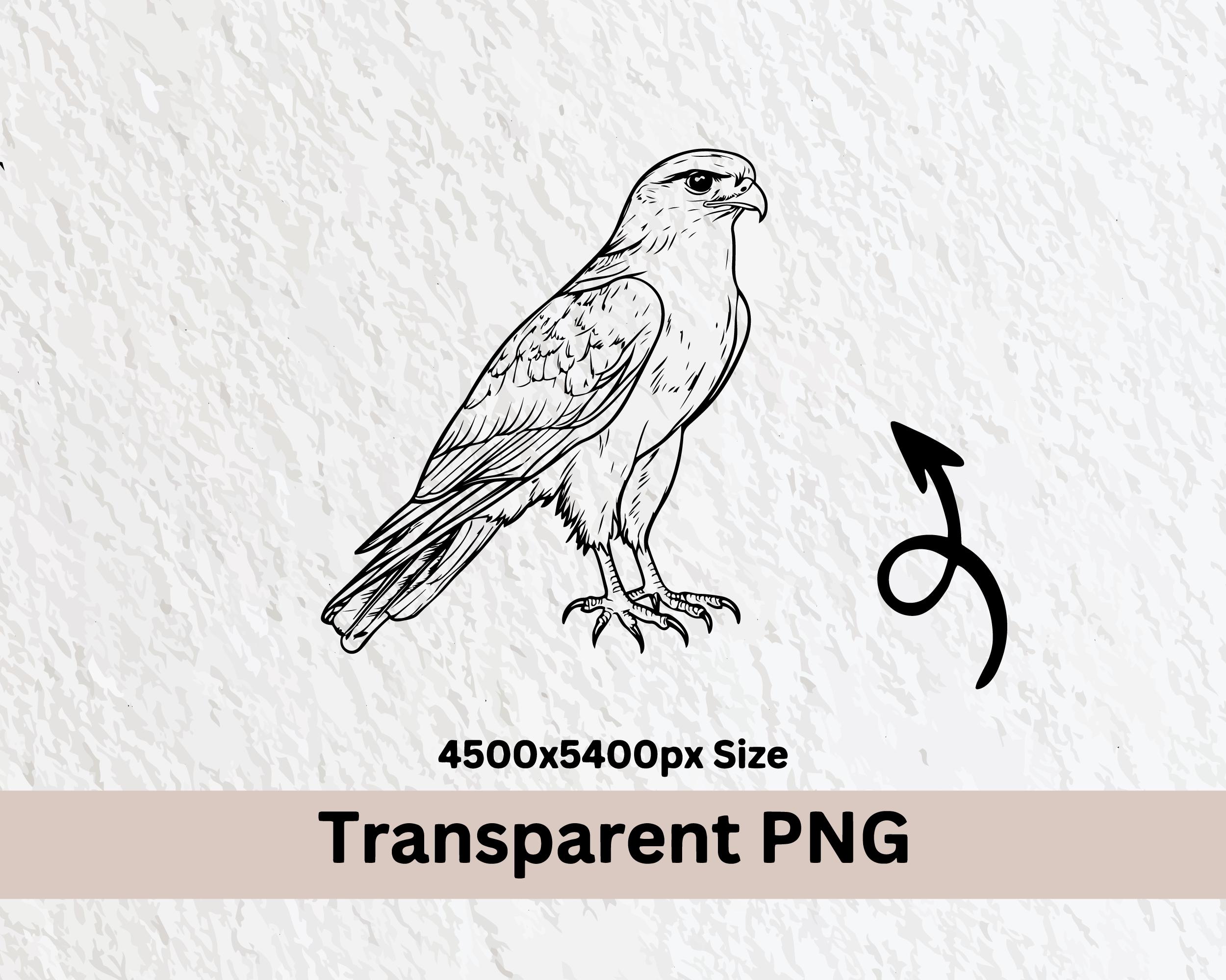 Hawk Svg Bundle, Hawk Silhouette, Hawk Clipart Png, Hawk Outline, Hawk ...