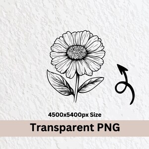 Calendula Flower SVG Bundle: Silhouette, Clipart, Vector (PNG, Cricut ...