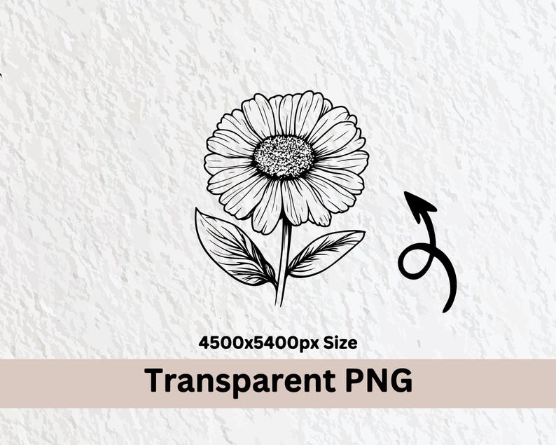 Calendula Flower SVG Bundle: Silhouette, Clipart, Vector (PNG, Cricut ...