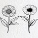 Calendula Flower SVG Bundle: Silhouette, Clipart, Vector (PNG, Cricut ...