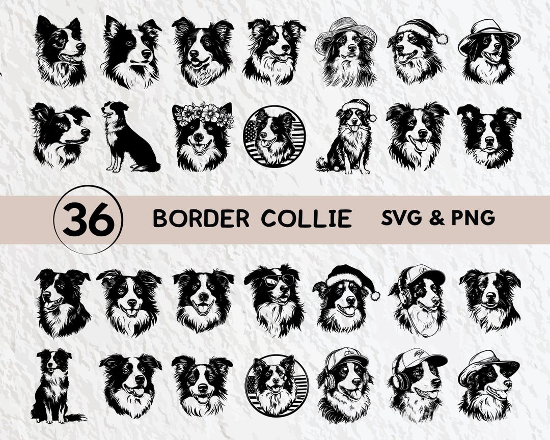 Border Collie Svg Bundle, Border Collie Silhouette, Border Collie ...