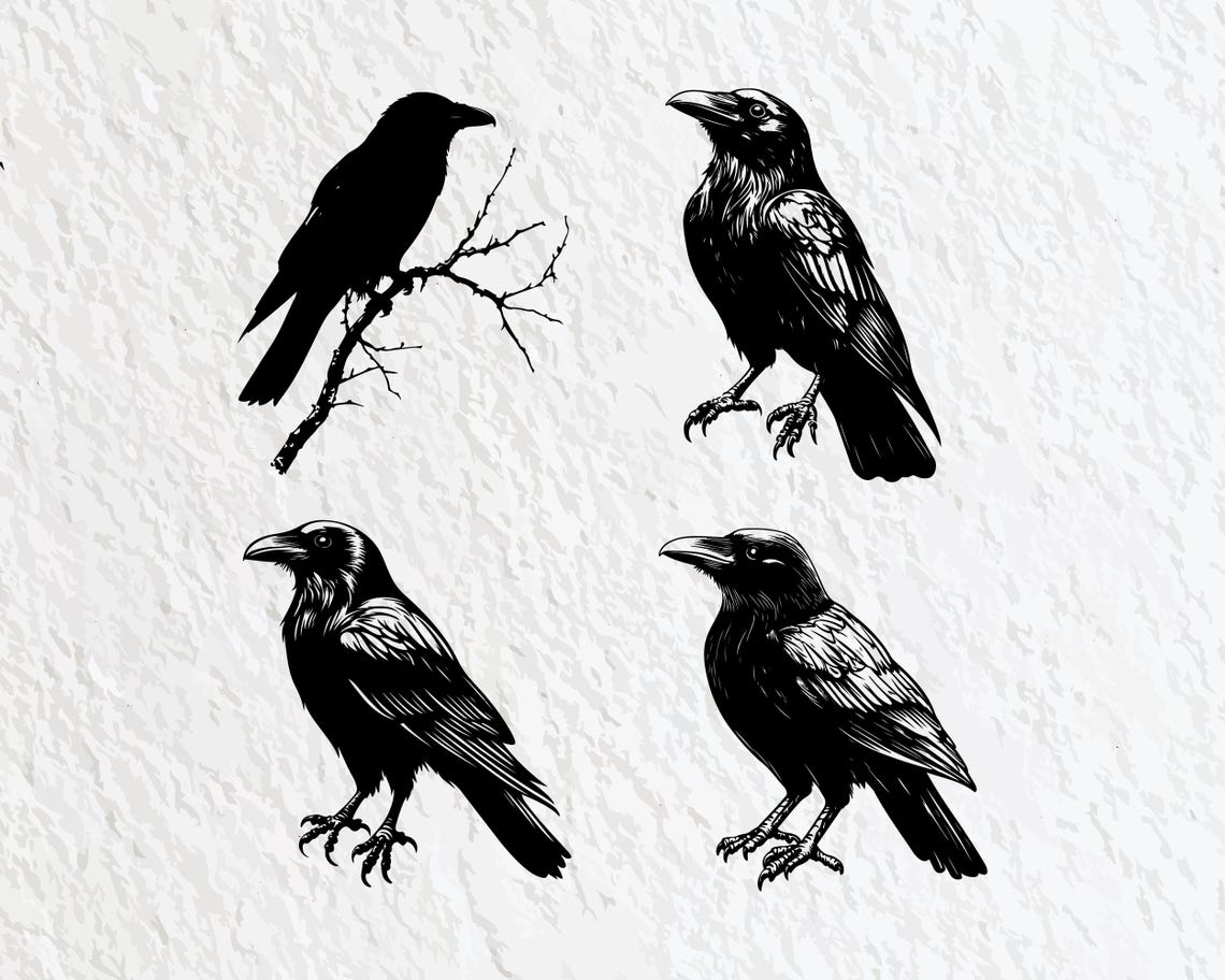 Raven Svg Bundle, Raven Silhouette, Raven Clipart Png, Raven Outline ...