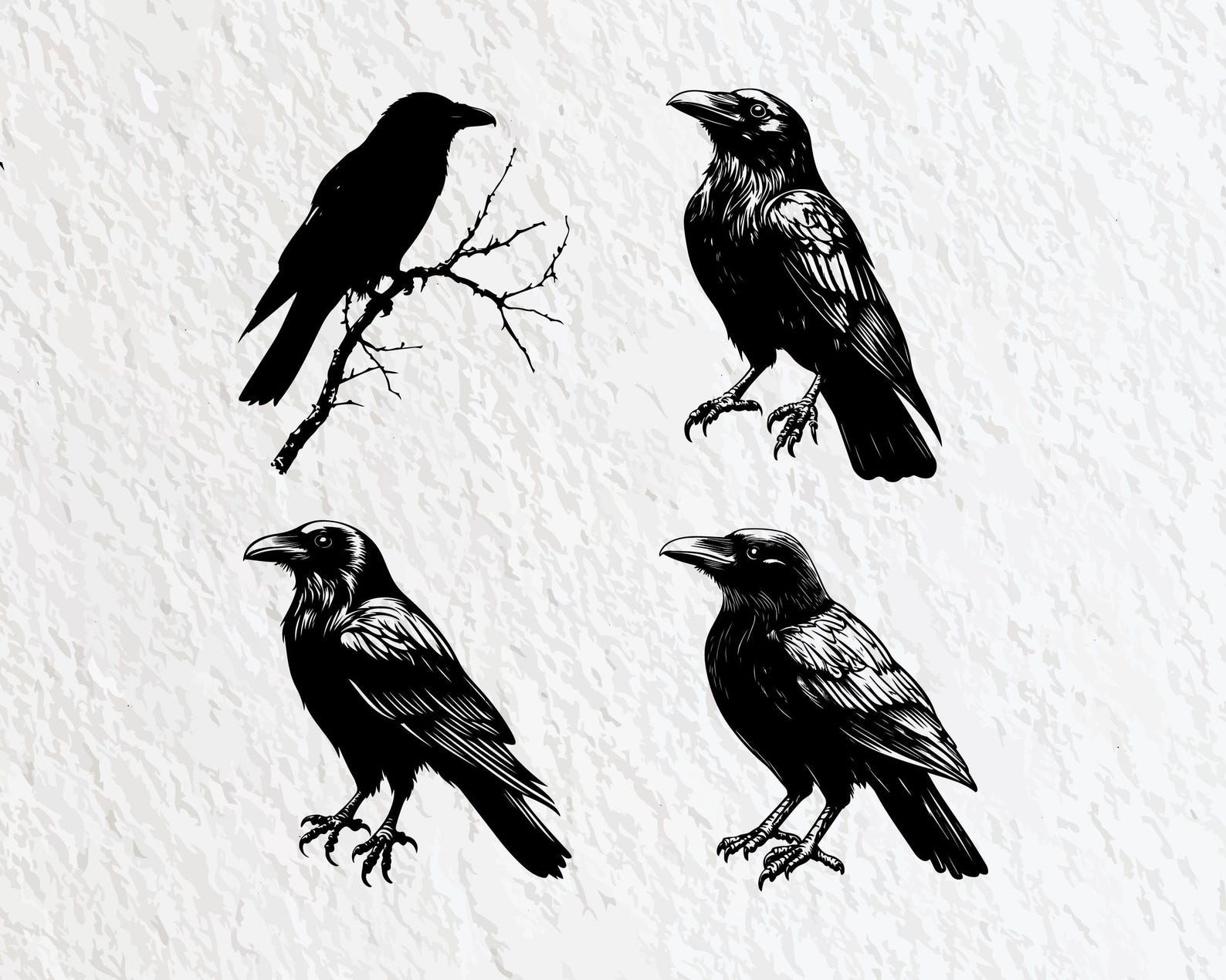 Raven Svg Bundle, Raven Silhouette, Raven Clipart Png, Raven Outline ...