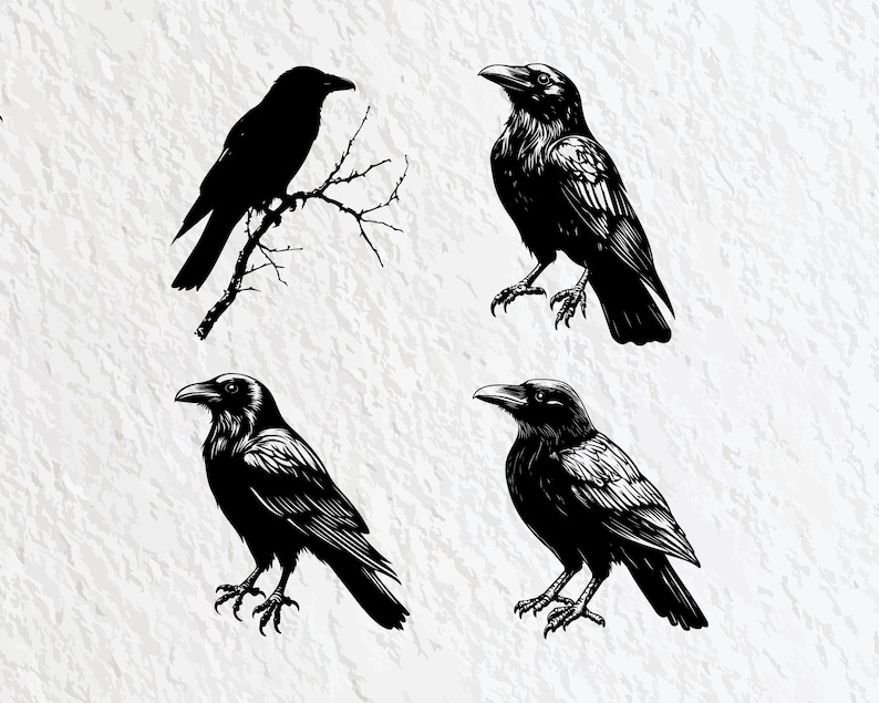 Raven Silhouette Vector Art: Raven Svg Bundle (PNG, Cricut Cut Files ...