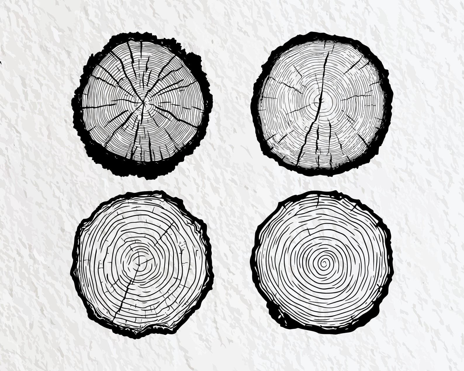 Tree Slice Slab Svg Bundle, Tree Slice Slab Silhouette, Tree Slice Slab ...