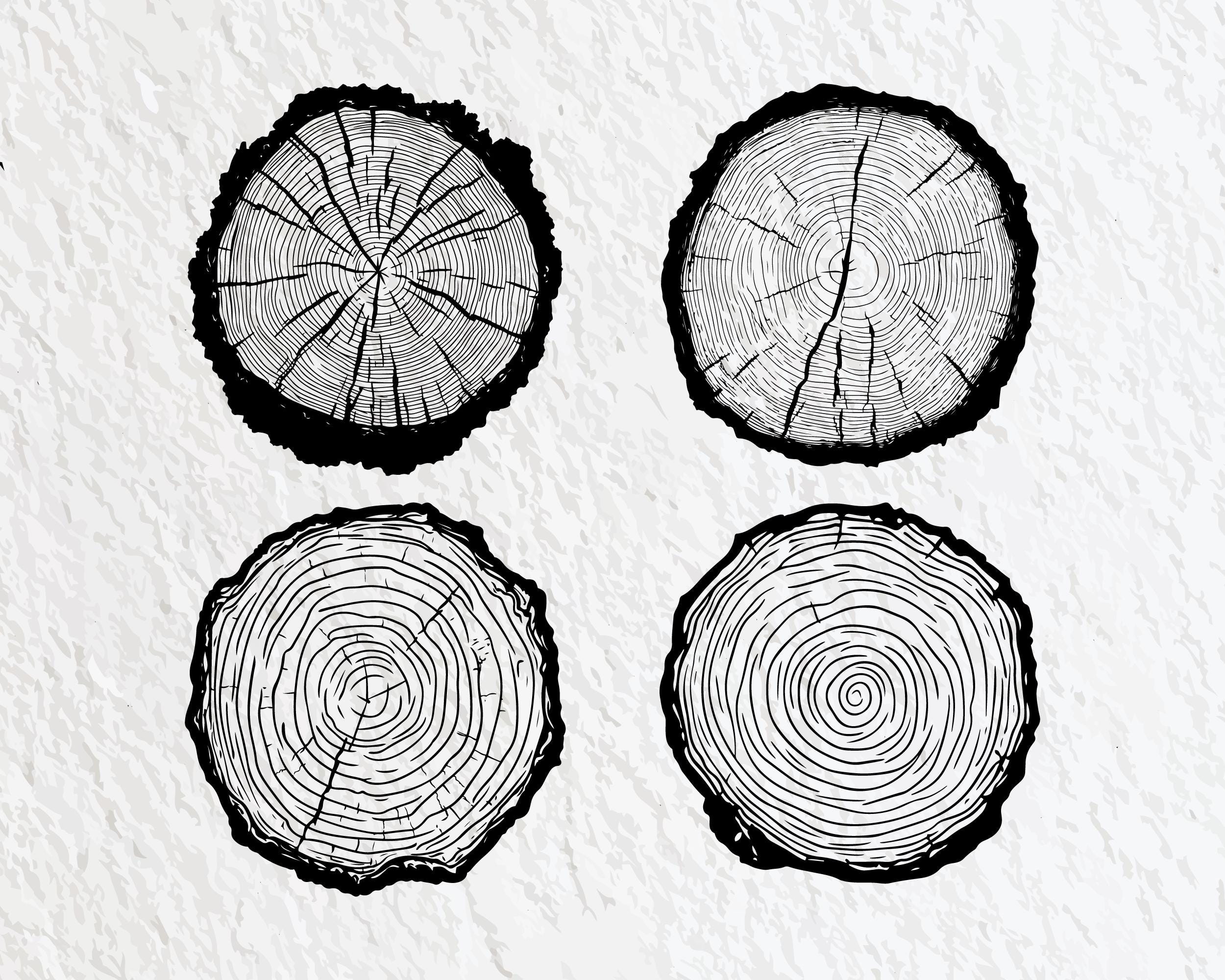 Tree Slice Slab Svg Bundle, Tree Slice Slab Silhouette, Tree Slice Slab ...