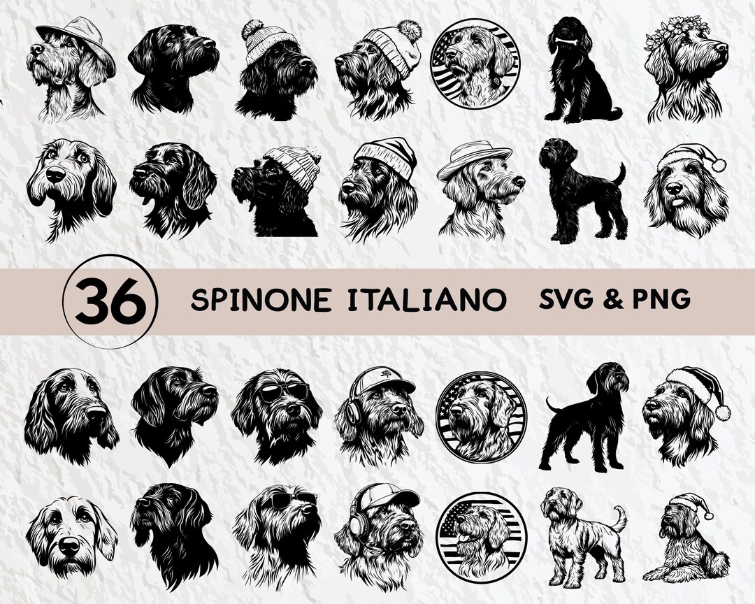 Spinone Italiano Dog SVG Bundle: Silhouette Clipart (digital Download ...