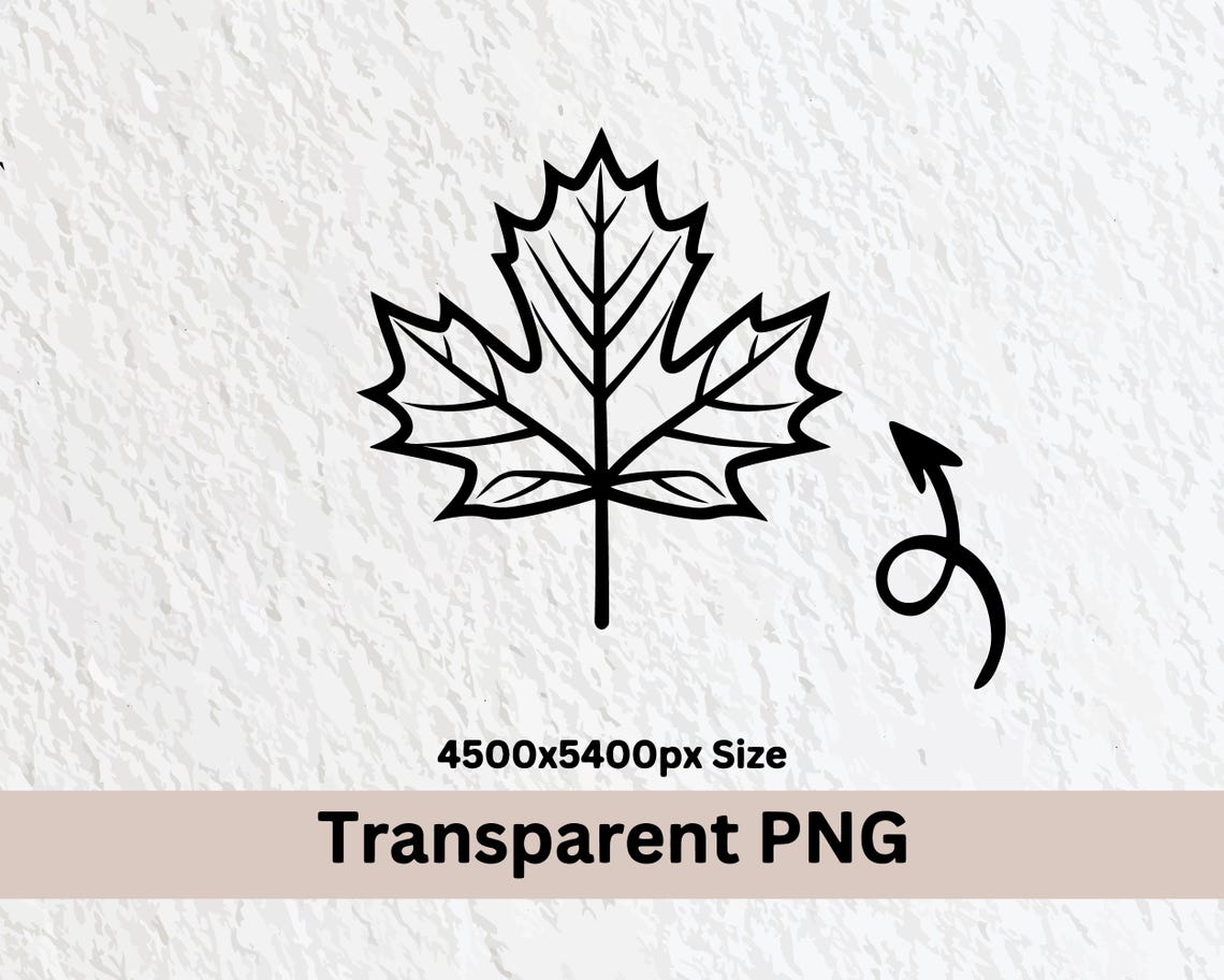 Maple Leaf SVG Bundle: Silhouette Clipart, Vector Cut Files (PNG) - Etsy