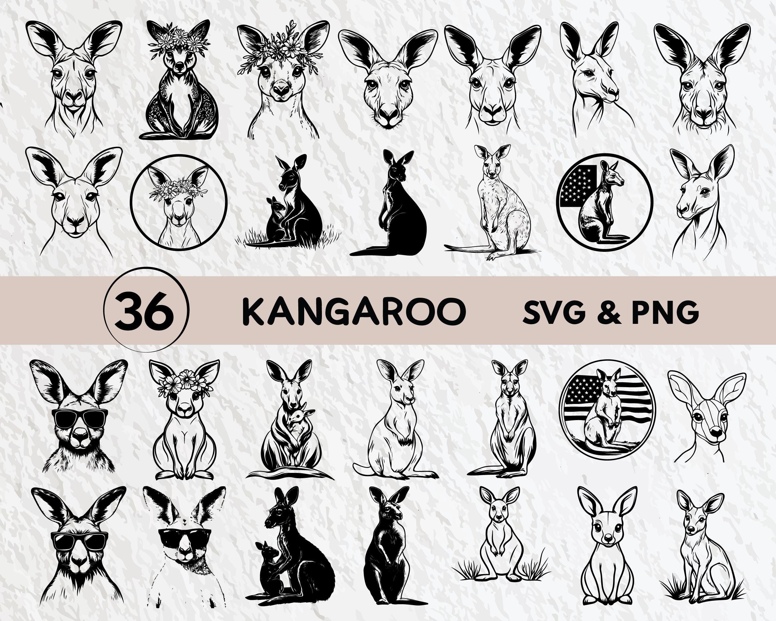 Kangaroo Svg Bundle, Kangaroo Silhouette, Kangaroo Clipart Png ...