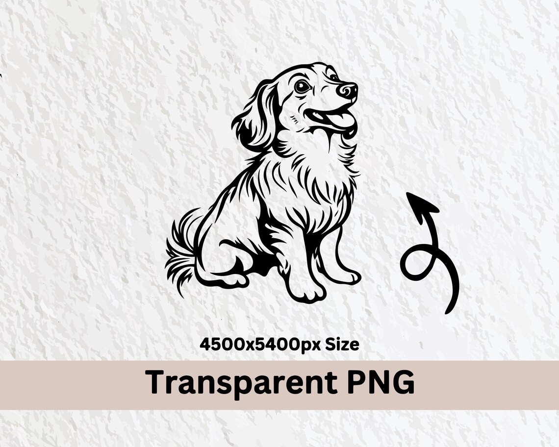 Chiweenie Dog SVG Bundle: Silhouette, Clipart, Outline (PNG, Cricut) - Etsy