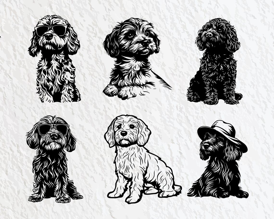 Cavapoo Dog Svg Bundle, Cavapoo Dog Silhouette, Cavapoo Dog Clipart Png ...