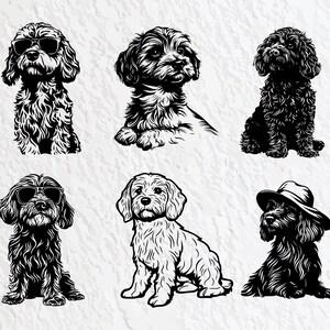 Cavapoo Dog Svg Bundle, Cavapoo Dog Silhouette, Cavapoo Dog Clipart Png ...