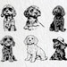 Cavapoo Dog Svg Bundle, Cavapoo Dog Silhouette, Cavapoo Dog Clipart Png ...
