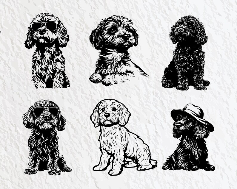Cavapoo Dog Svg Bundle, Cavapoo Dog Silhouette, Cavapoo Dog Clipart Png ...