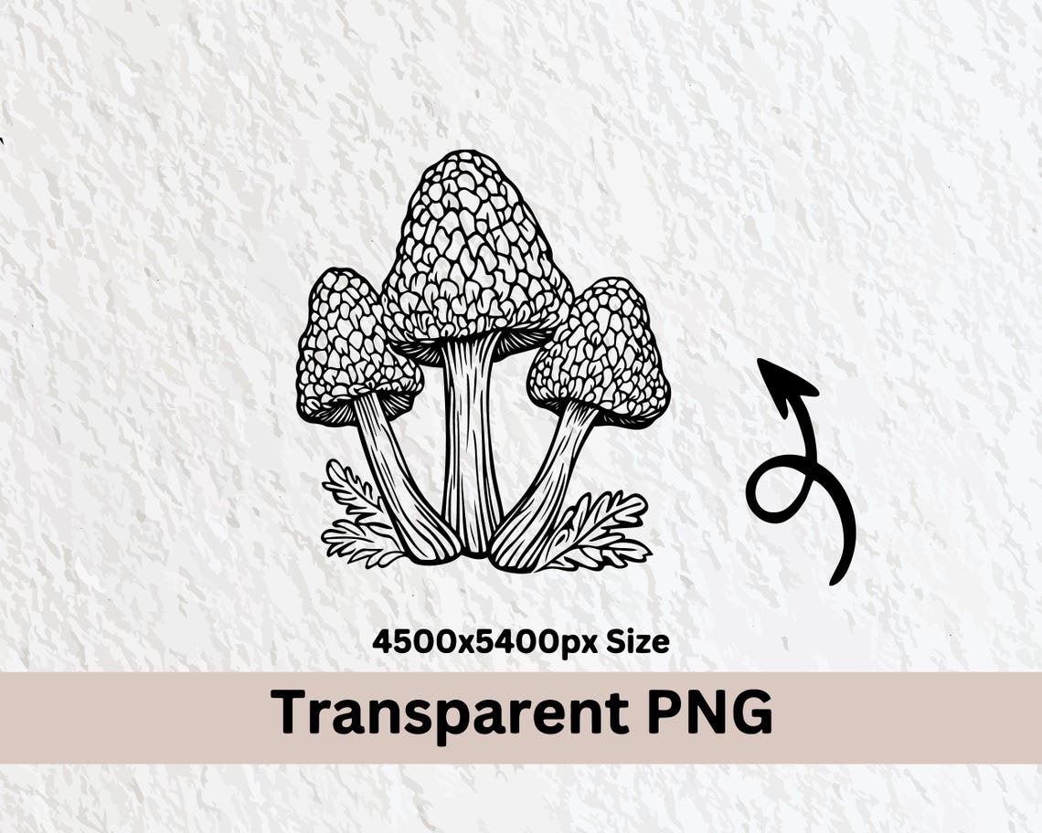 Morel Mushroom Svg Bundle, Morel Mushroom Silhouette, Morel Mushroom ...