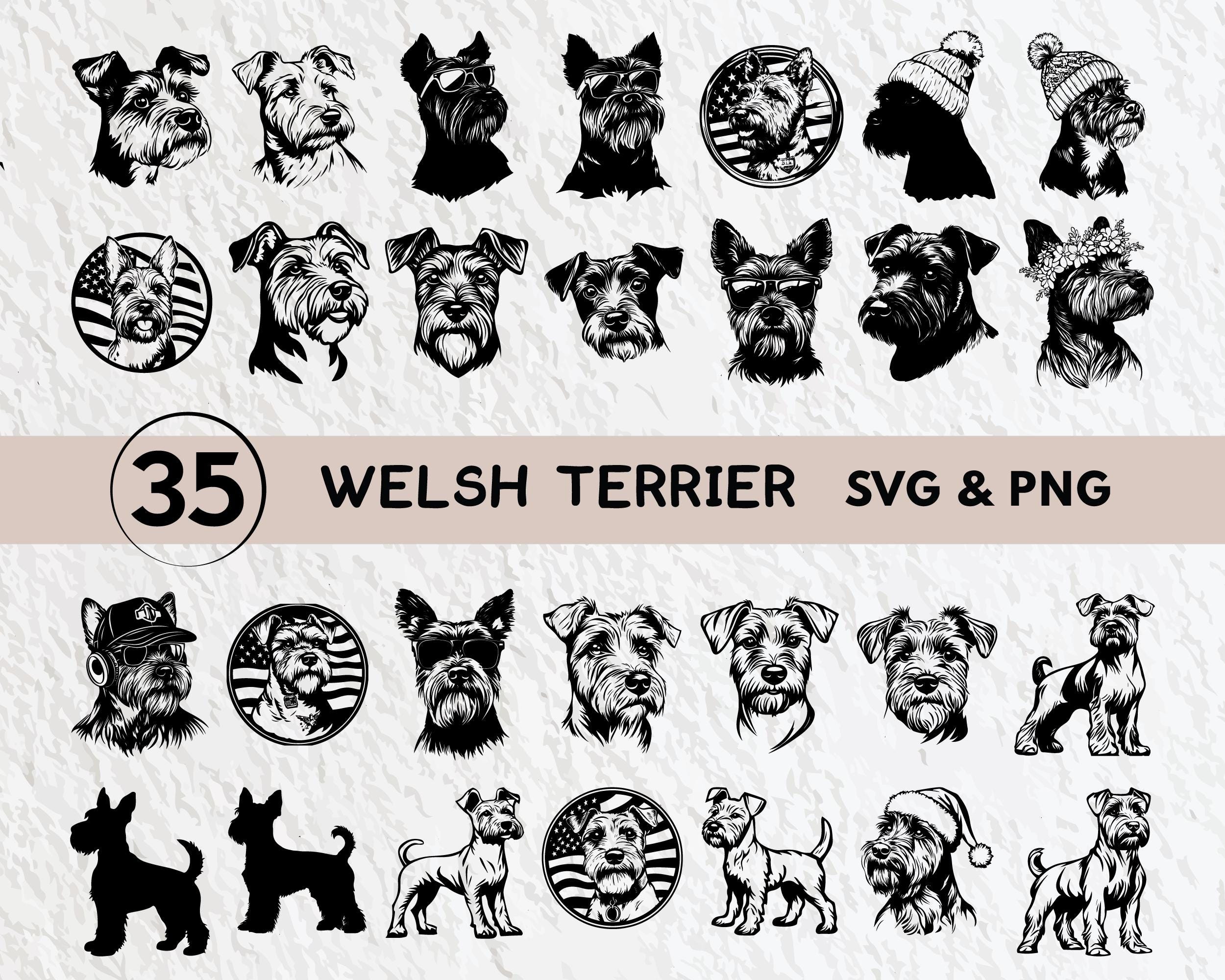 Welsh Terrier SVG Bundle: Silhouette Clipart, Vector Logo (PNG) - Etsy