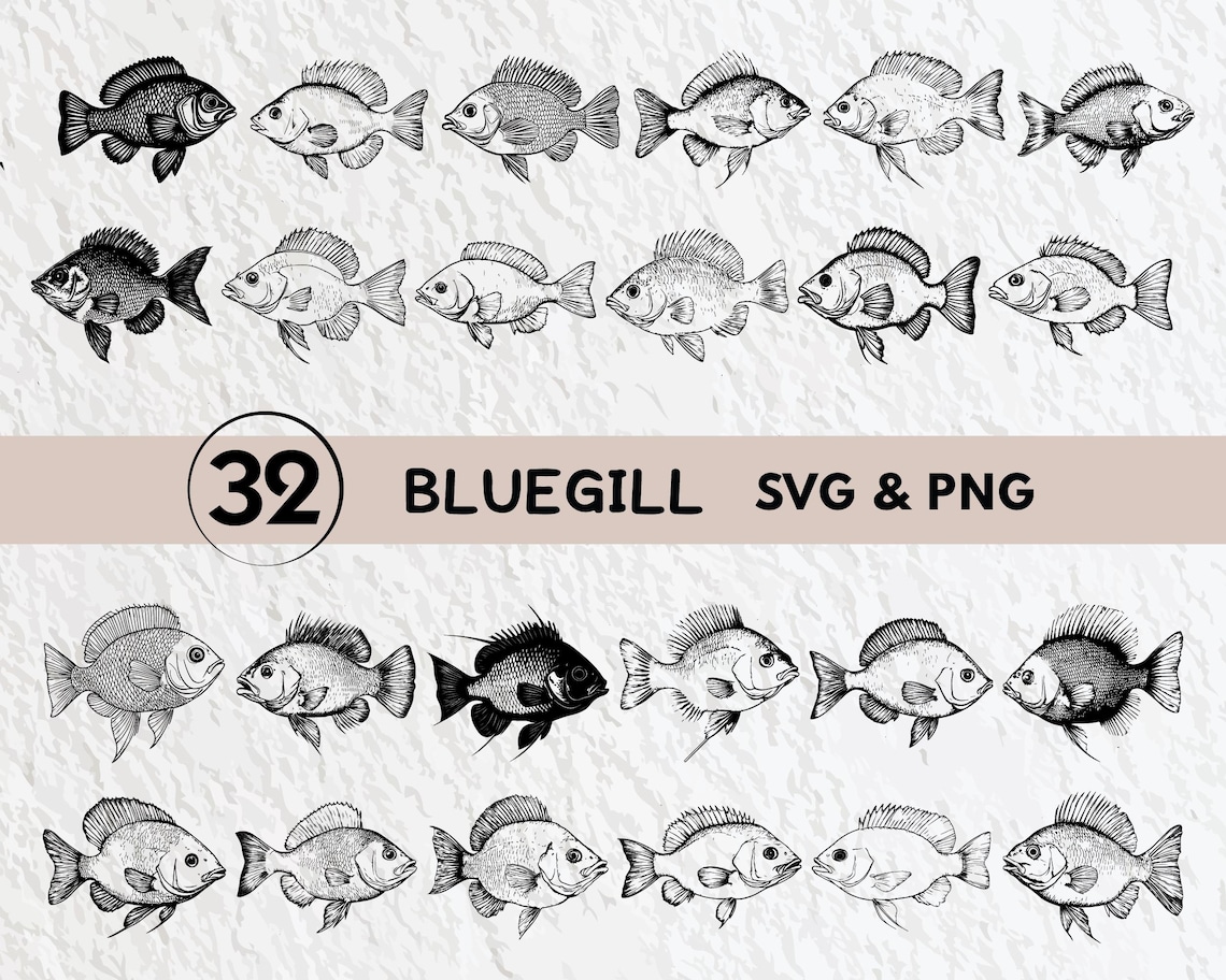 Bluegill Svg Bundle, Bluegill Silhouette, Bluegill Clipart Png ...
