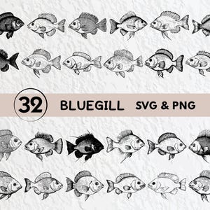 Bluegill SVG Bundle: Fish Silhouette Clipart, Cricut Decal Files - Etsy