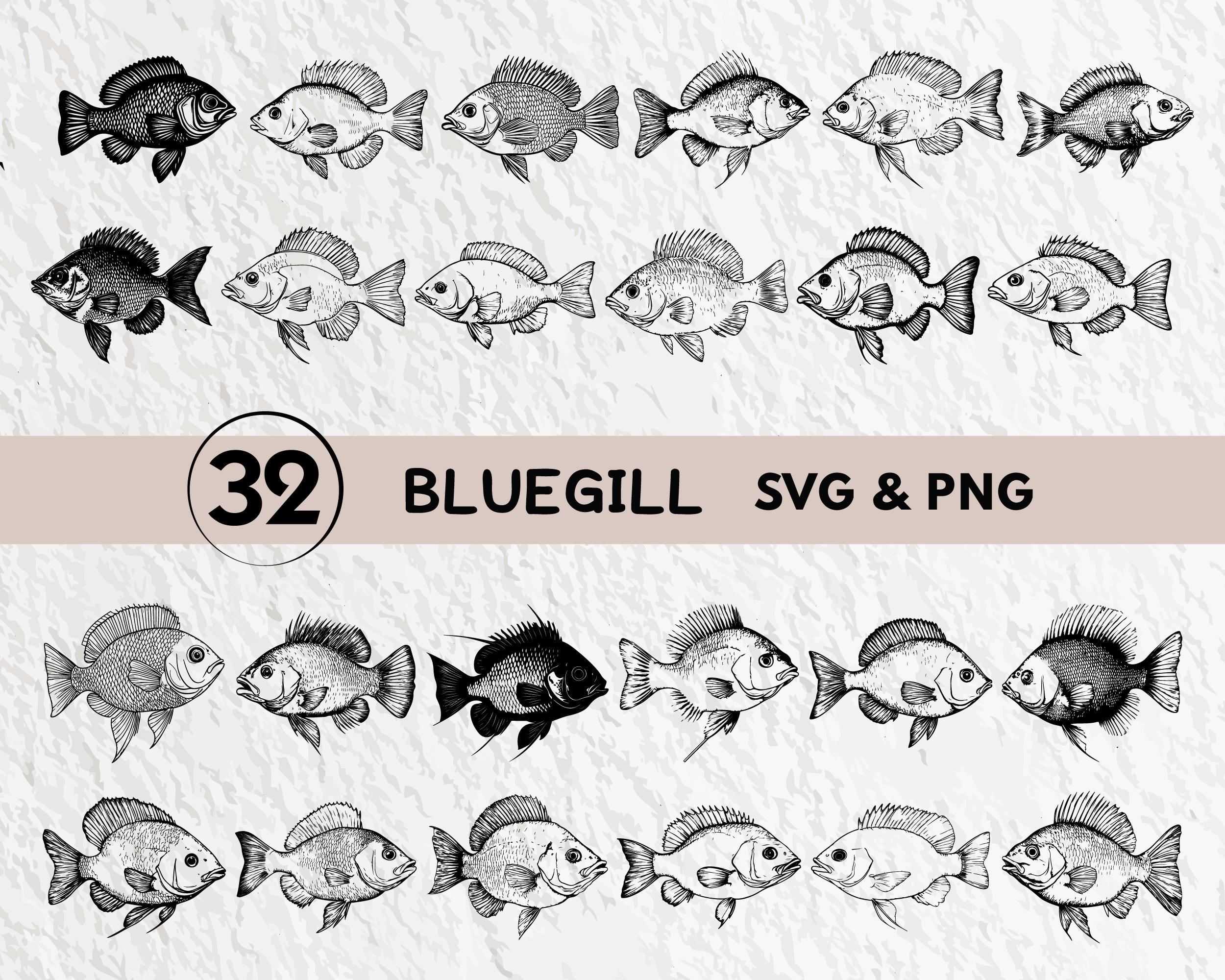 Bluegill Svg Bundle, Bluegill Silhouette, Bluegill Clipart Png ...
