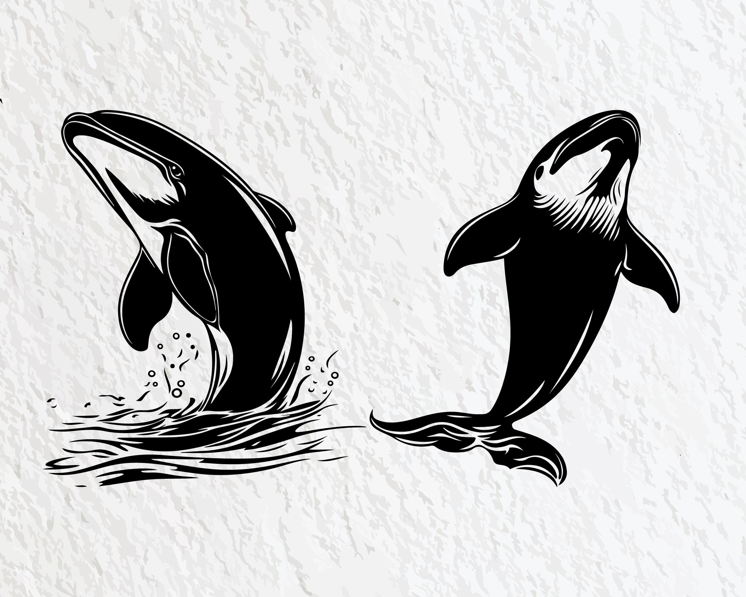 Beluga Whale SVG Bundle: Silhouette Clipart, Cricut Cut Files (PNG ...