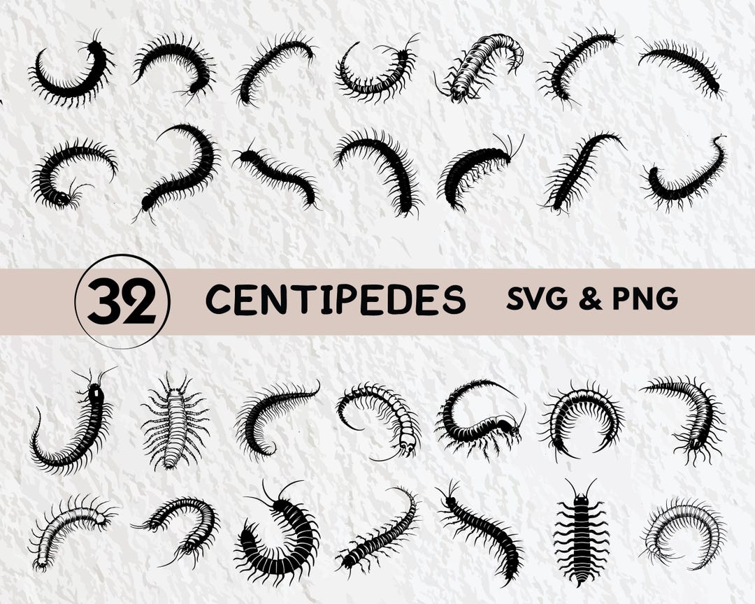 Centipedes SVG Bundle: Silhouette, Clipart, Vector (digital Download ...