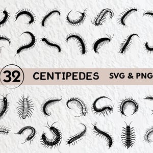 Centipedes SVG Bundle: Silhouette, Clipart, Vector (digital Download ...