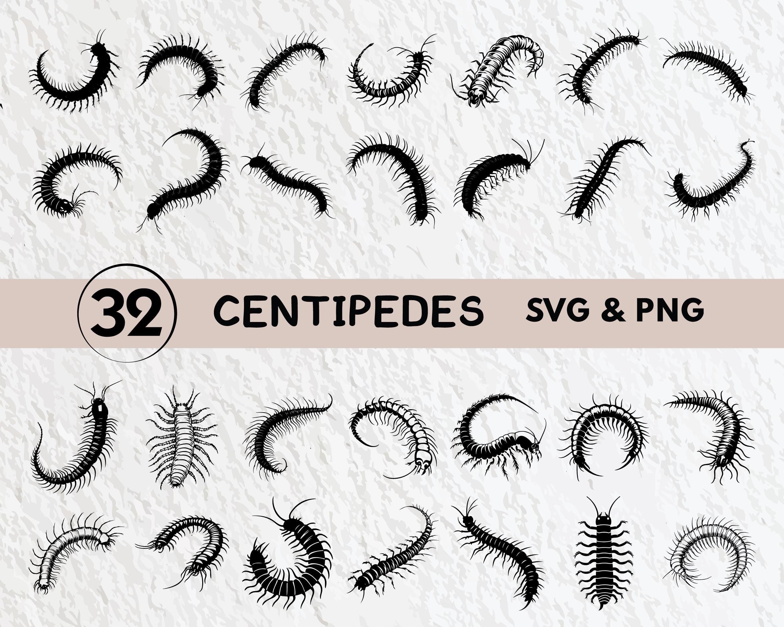 Centipedes SVG Bundle: Silhouette, Clipart, Vector (digital Download ...