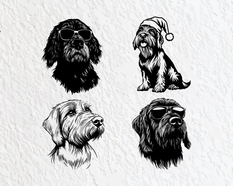 Italian Spinone Silhouette SVG & PNG Clipart Bundle - Etsy