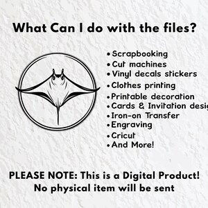 Manta Ray SVG Bundle: Silhouette Clipart, Logo Icon (PNG, Vector) - Etsy