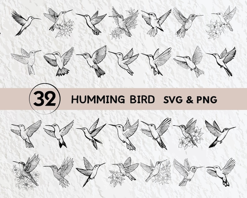 Hummingbird SVG Bundle: Outline Art, Decal, Logo (digital Download) - Etsy