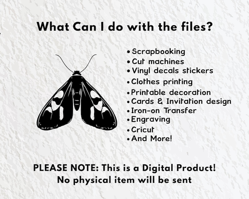 Moth SVG Bundle: Silhouette Clipart, Cricut Cut Files (PNG, Vector) - Etsy