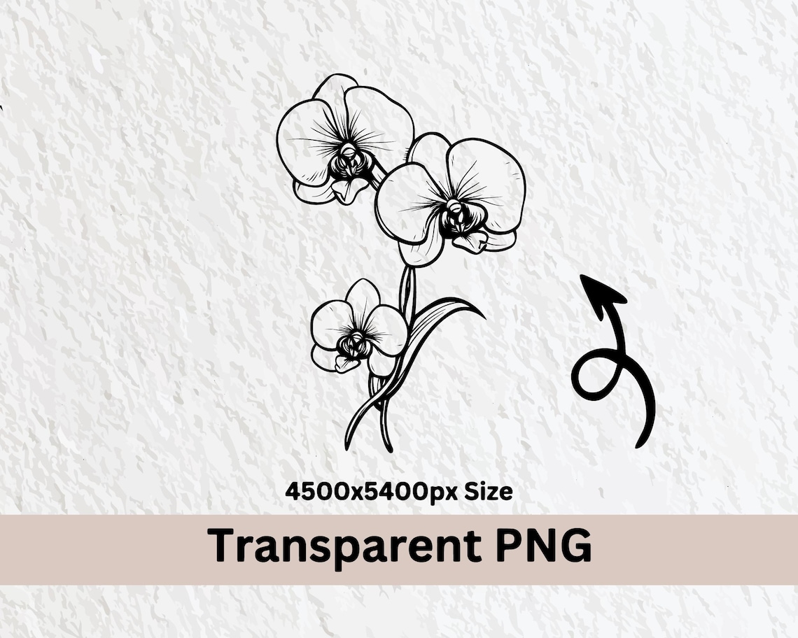 Orchid Flower SVG Bundle: Floral Clipart, Logo Icon (digital Download ...