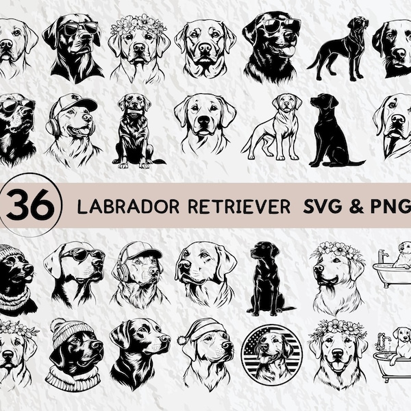 Labrador - Etsy