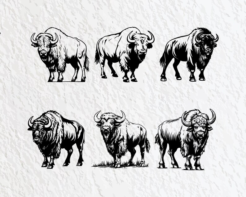 Buffalo Svg Bundle, Buffalo Silhouette, Buffalo Clipart Png, Buffalo ...