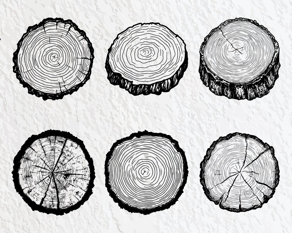 Tree Slice Slab Svg Bundle, Tree Slice Slab Silhouette, Tree Slice Slab ...