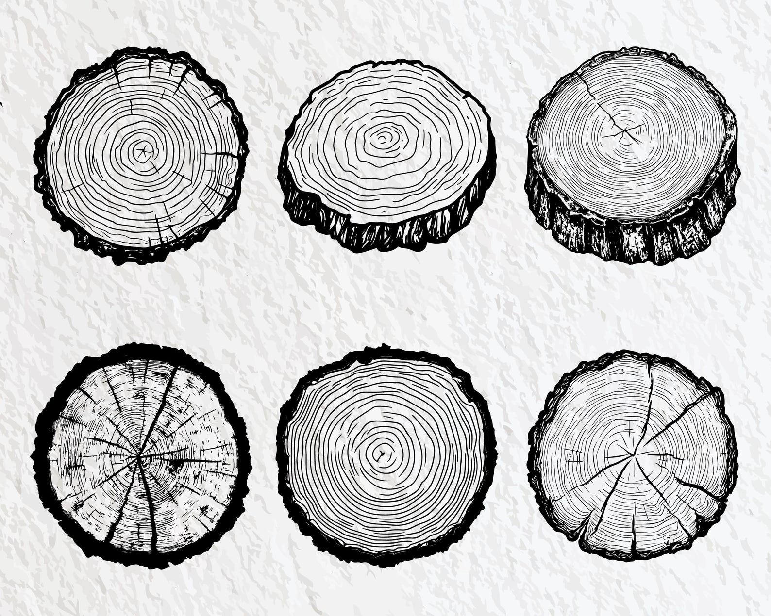 Tree Slice Slab SVG Bundle: Logo Icon Cricut Cut Files (digital ...