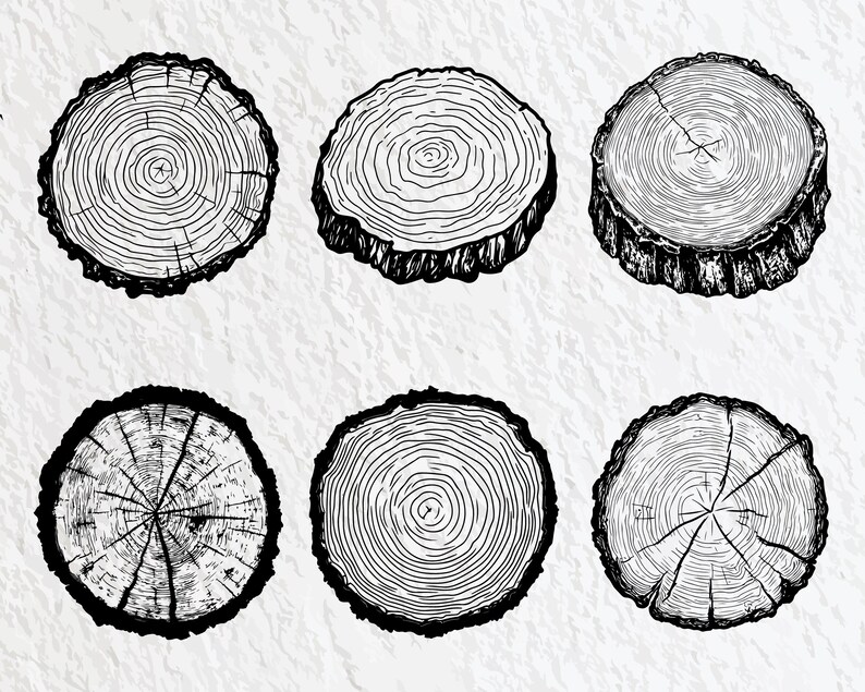 Tree Slice Slab Svg Bundle, Tree Slice Slab Silhouette, Tree Slice Slab ...