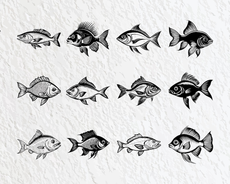 Fish SVG Bundle: Silhouette Clipart, Vector Cut Files (PNG, Cricut) - Etsy