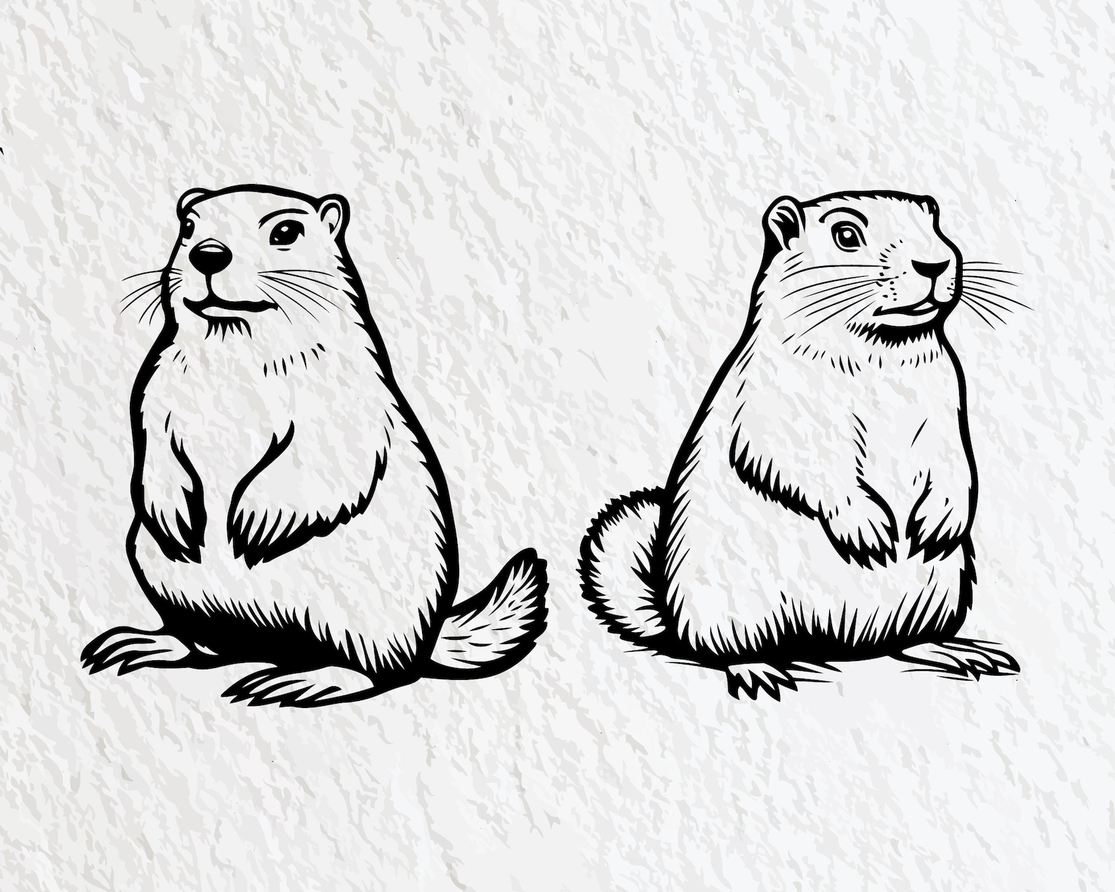 Groundhog Svg Bundle, Groundhog Silhouette, Groundhog Clipart Png ...