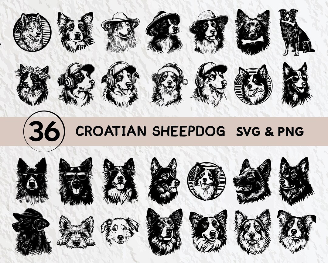 Croatian Sheep Dog Svg Bundle, Croatian Sheep Dog Silhouette, Croatian ...