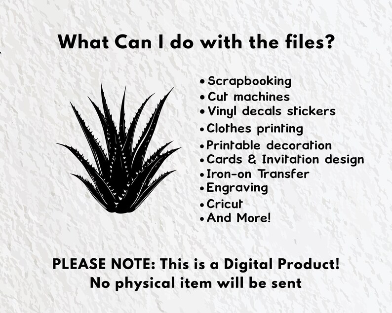 Aloe Vera Svg, Aloe Vera Silhouette Bundle, Aloe Vera Clipart, Aloe ...