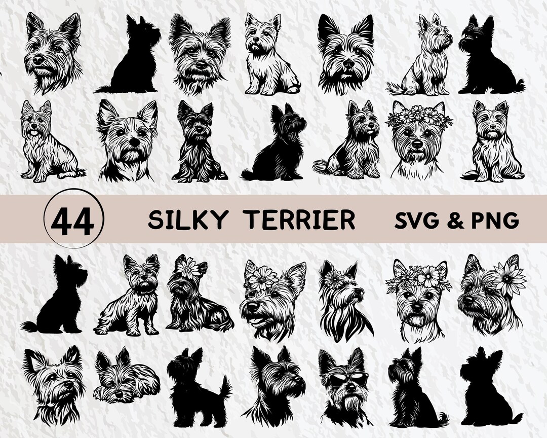 Silky Terrier Silhouette Bundle Png, Silky Terrier Svg Bundle Cut Files ...