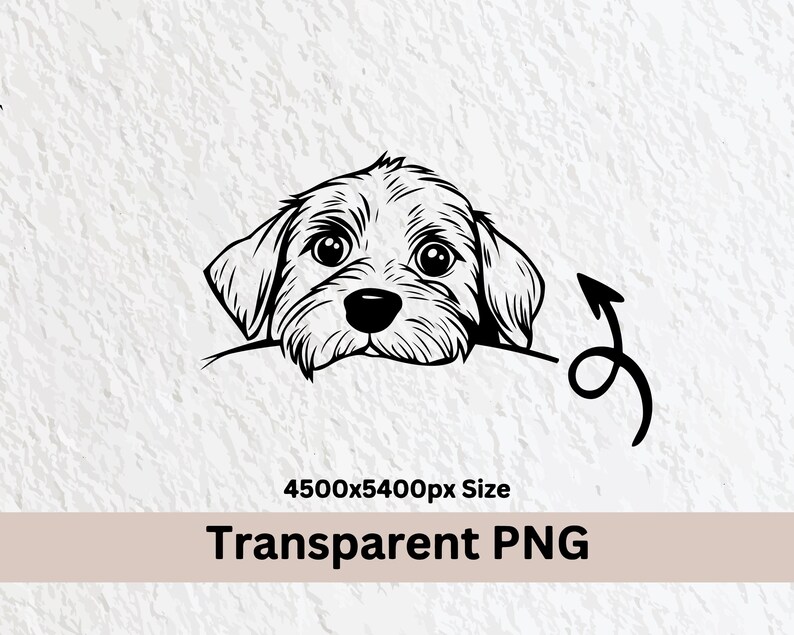 Schnoodle Dog SVG Bundle: Silhouette Clipart, Vector Logo (PNG Files ...