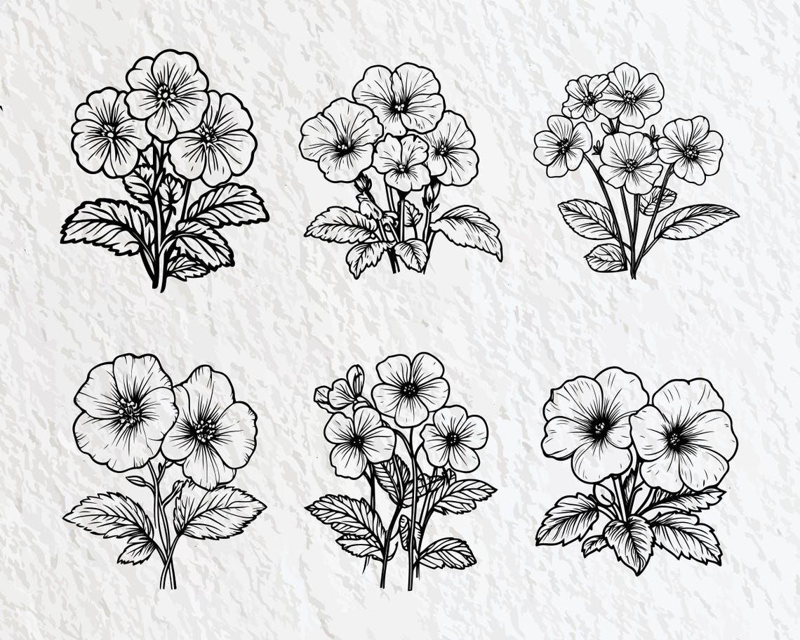 Primrose Svg Bundle, Primrose Silhouette, Primrose Clipart Png ...