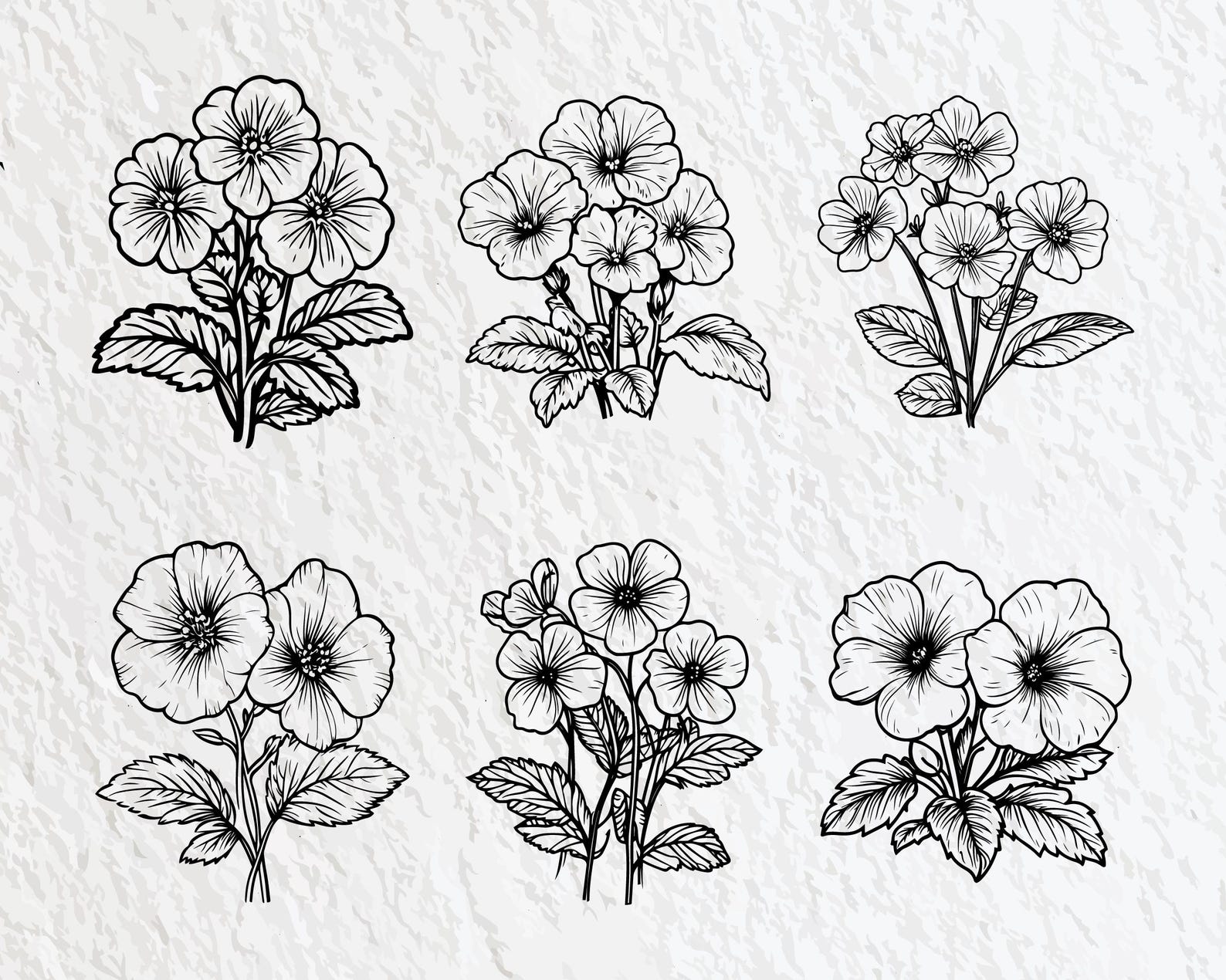 Primrose Svg Bundle, Primrose Silhouette, Primrose Clipart Png ...