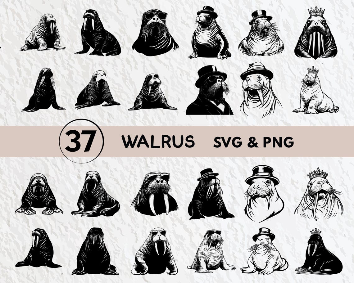 Walrus Silhouette Svg, Walrus Svg Bundle, Walrus Clipart, Walrus Decal ...
