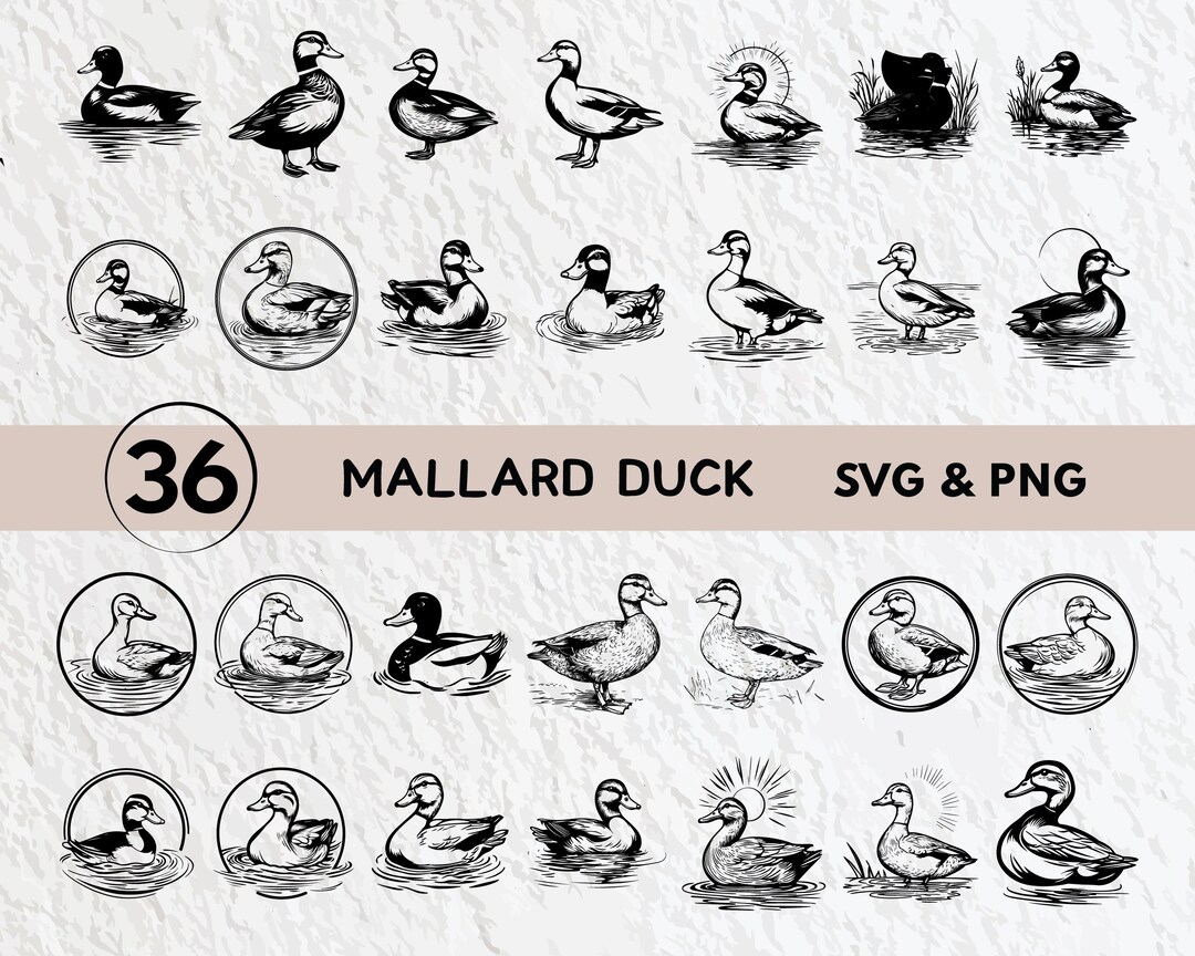 Mallard Duck SVG Bundle: Silhouette Clipart, Logo Icon (PNG, Vector ...